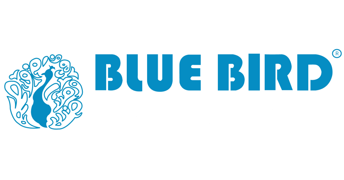 Blue Bird Toys & Games – BLUE BIRD